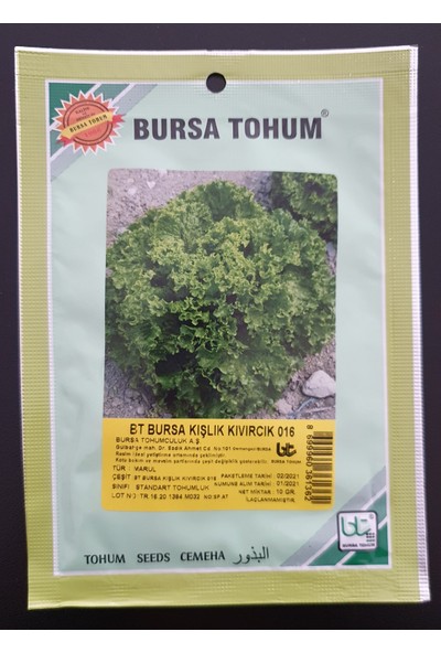 Bursa Tohum 10 gr Kivircik Tohumu (Bursa Tohum)