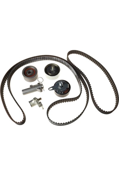 Braxis Gates K025557XS Eksantrık Gergı Kıtı A6 Passat 96 01 2,5 Tdı Bau Ake (87 DIS+207 Dıs) (K045520XS Aynı)