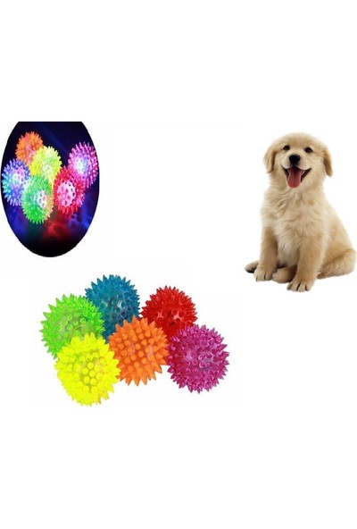 Sesli Işıklı Köpek Oyuncağı Topu Dikenli Diş Kaşıma Topu Sesli Işıklı Köpek Oyuncağı Topu Dikenli Diş Kaşıma Topu