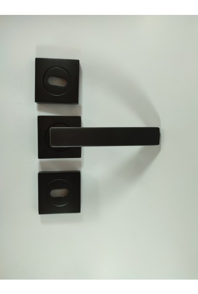 Wert Seca Kapı Kolu Wert Seca Kapı Kolu