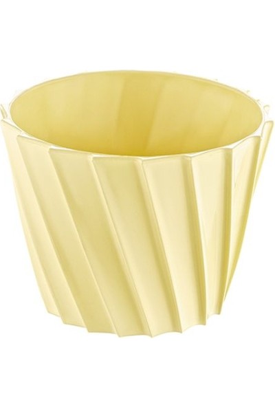 Xnews Safran Çerezlik-