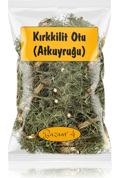 Bazaar 4 Kırk Kilit Otu - At Kuyruğu - Horsetail Herb Bazaar 4 Kırk Kilit Otu - At Kuyruğu - Horsetail Herb