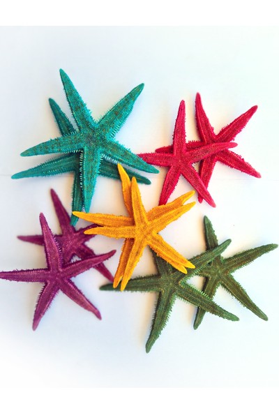 Evinizdeki Okyanus Esintisi Turkuaz Hediyelik Gerçek Deniz Yıldızı 10-11 Cm-Karışık Renkli-10 Adet Evinizdeki Okyanus Esintisi Turkuaz Hediyelik Gerçek Deniz Yıldızı 10-11 Cm-Karışık Renkli-10 Adet
