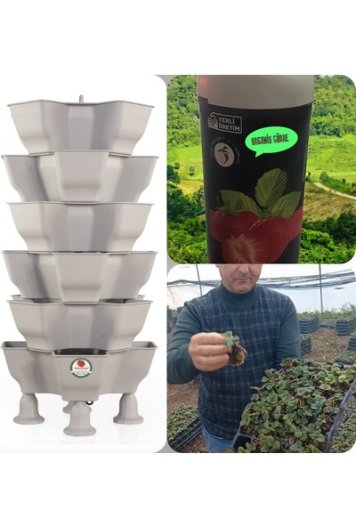 Çilek Park 4 Katlı 16 Gozlu Saksı,20 Çilek Fidesi,1 Lt Besin Çilek Park 4 Katlı 16 Gozlu Saksı,20 Çilek Fidesi,1 Lt Besin