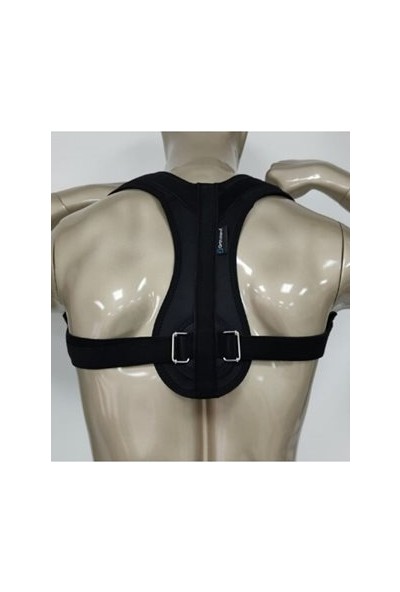 Dik Durus Korsesi Dik Durus Korsesi