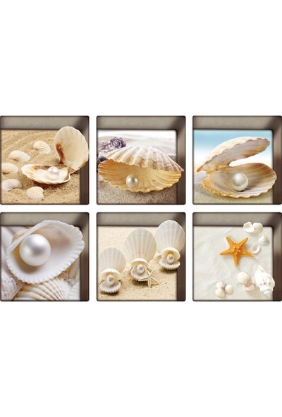 Acelit 3D Küvet Aplikler Etiketler Çıkartmaları Kaymaz Küvet Dövmeler 6'lı 13X13 cm (Yurt Dışından) Acelit 3D Küvet Aplikler Etiketler Çıkartmaları Kaymaz Küvet Dövmeler 6'lı 13X13 cm (Yurt Dışından)