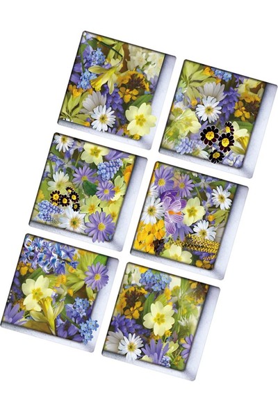 Acelit Yapışkan Güvenlik Basamakları (Yurt Dışından) Acelit Yapışkan Güvenlik Basamakları (Yurt Dışından)