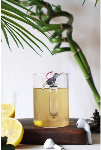 Adamodart Sinek Kuşu Tasarım Dekoratif Borosilikat Cam Kupa Tekli Adamodart Sinek Kuşu Tasarım Dekoratif Borosilikat Cam Kupa Tekli