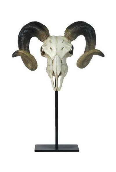 Veronese Standlı Boynuzlu Kurukafa Figür