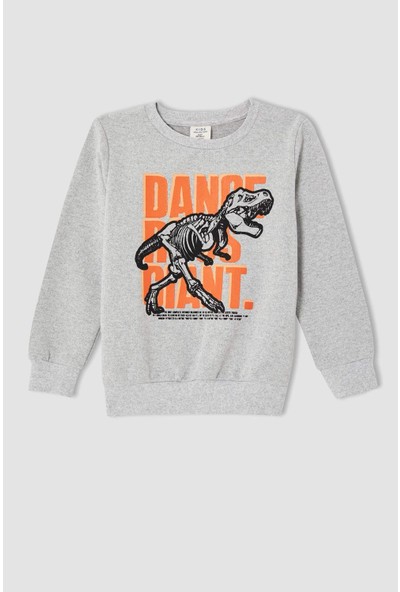 Defacto Erkek Çocuk Dinozor Baskılı Sweatshirt T4335A621SP