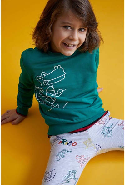 Defacto Erkek Çocuk Timsah Baskılı Sweatshirt T7690A621SP