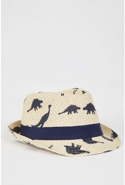 DeFacto Erkek Çocuk Dinozor Baskılı Hasır Şapka N4230A622SM