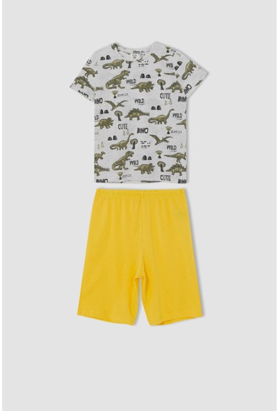 DeFacto Erkek Çocuk Dinozor Desenli Kısa Kollu Pijama Takımı V6432A621HS