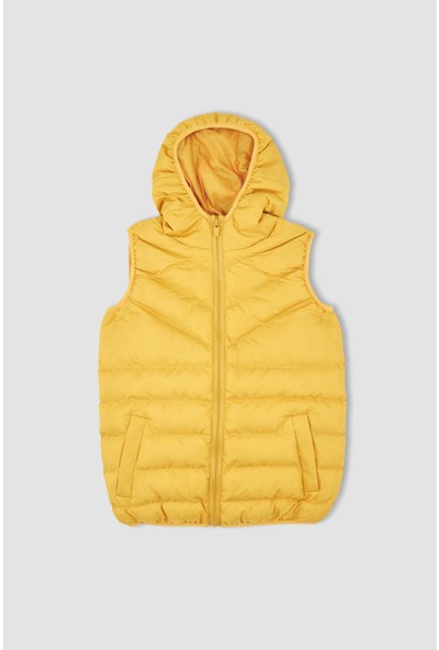 DeFacto Erkek Çocuk Regular Fit Basic Kapüşonlu Mevsimlik Şişme Yelek W1930A622SP DeFacto Erkek Çocuk Regular Fit Basic Kapüşonlu Mevsimlik Şişme Yelek W1930A622SP