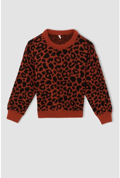 DeFacto Kız Çocuk Regular Fit Leopar Desenli Bisiklet Yaka Kazak X0118A621WN DeFacto Kız Çocuk Regular Fit Leopar Desenli Bisiklet Yaka Kazak X0118A621WN