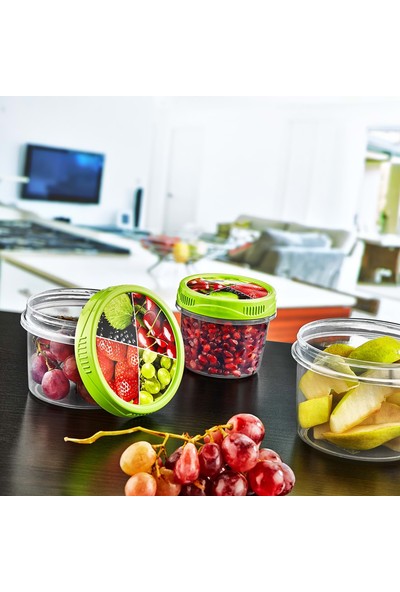 Holiday Style Box 3'lü Set 1,58 Lt