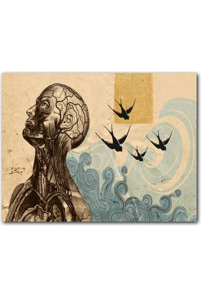 Cakatablo Sanatsal Anatomi