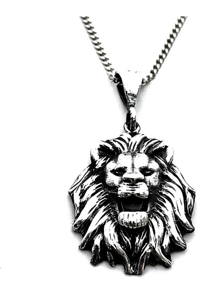 Ebrar Tesbih Gümüş Gümüş Aslan Kolye 925 Ayar Gümüş Aslan Figürlü Erkek Kolye Ebrar Tesbih Gümüş Gümüş Aslan Kolye 925 Ayar Gümüş Aslan Figürlü Erkek Kolye