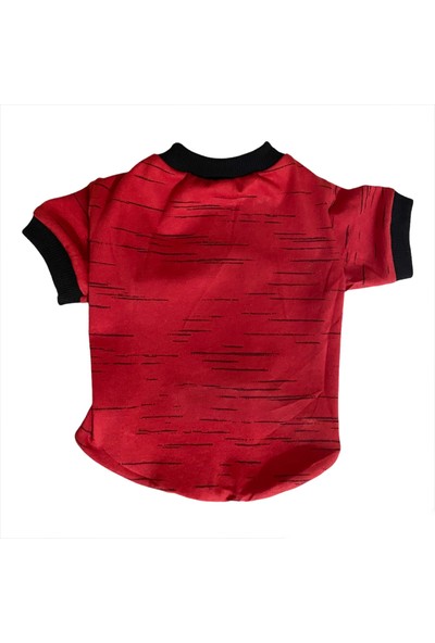 Bonanza Red Stripe Oval Yaka Köpek Tişörtü