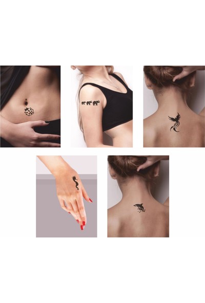 Aradığın Şeyler Sevimli Hayvan Desenleri Hint Kınası ile Geçici Dövme Yapma Seti