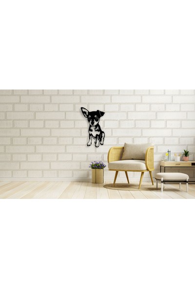 Atarek Reklam, Chihuahua Atarek Reklam, Chihuahua