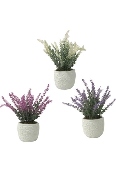 Hediye Vitrini Yapay Çiçek Beyaz Beton Saksılı Beyaz Fuşya Mor Pudralı Lavanta 3 Lü Set 18 cm Hediye Vitrini Yapay Çiçek Beyaz Beton Saksılı Beyaz Fuşya Mor Pudralı Lavanta 3 Lü Set 18 cm