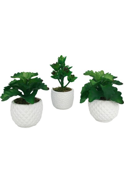 Hediye Vitrini Seramik Saksı Da Yapay Çiçek Lı 1.kalite Kaktüs ve Yeşillik 17 cm Hediye Vitrini Seramik Saksı Da Yapay Çiçek Lı 1.kalite Kaktüs ve Yeşillik 17 cm