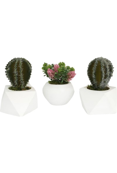 Hediye Vitrini Seramik Saksı Da Yapay Çiçek Lı 1.kalite Kaktüs ve Pudra Lı Başak Lavanta 14 cm Hediye Vitrini Seramik Saksı Da Yapay Çiçek Lı 1.kalite Kaktüs ve Pudra Lı Başak Lavanta 14 cm