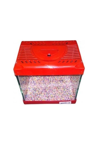 Girist Kırmızı Renkli Mini Akvaryum 23X20X14,5 cm Girist Kırmızı Renkli Mini Akvaryum 23X20X14,5 cm