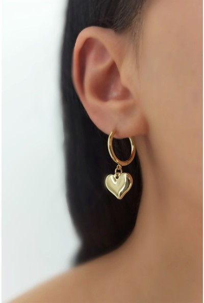 ÇLK Accessories Çelik Kalpli Plaka Halka Küpe TRKÜPE34492