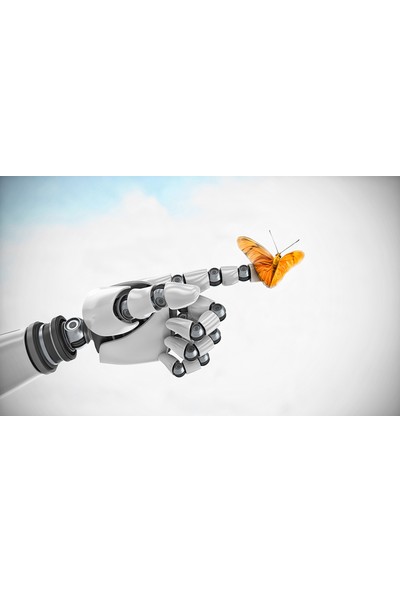 Orhun Store Kelebek 3D Poster - 3 Boyutlu Tek Parça Duvar Kağıdı Orhun Store Kelebek 3D Poster - 3 Boyutlu Tek Parça Duvar Kağıdı