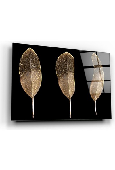 Pi Dekorasyon Gold Tüyler Cam Tablo Pi Dekorasyon Gold Tüyler Cam Tablo