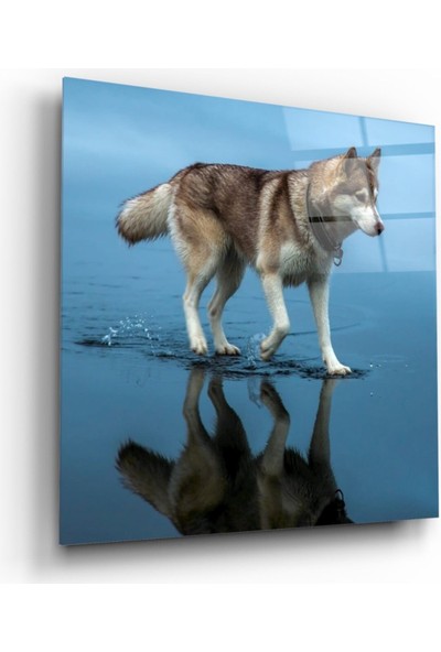 Pi Dekorasyon Kurt Cam Tablo