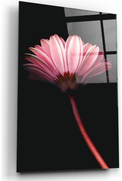 Pi Dekorasyon Pembe Papatya Cam Tablo