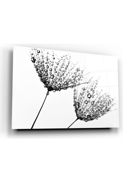 Pi Dekorasyon Karahindiba Cam Tablo