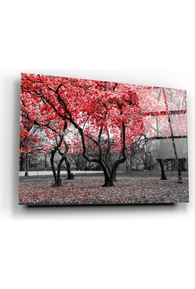 Pi Dekorasyon Kırmızı Orman Cam Tablo