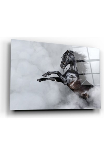 Pi Dekorasyon Şahlanan At Cam Tablo Pi Dekorasyon Şahlanan At Cam Tablo