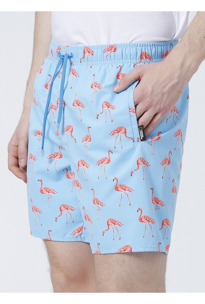 National Geographic Natgeoswim141 Bağlamalı Standart Kalıp Baskılı Mavi Erkek Şort Mayo National Geographic Natgeoswim141 Bağlamalı Standart Kalıp Baskılı Mavi Erkek Şort Mayo