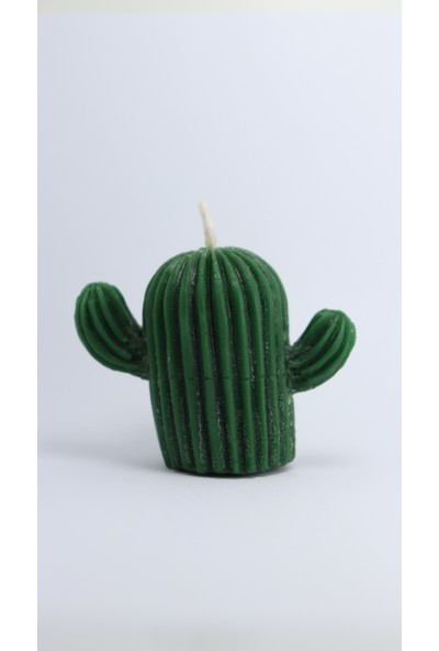 KC Accessories Dekoratif Kaktüs Kokulu Mum
