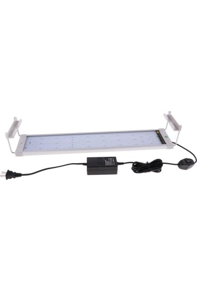 Cynthia En Parlak Ed Balık Tankı Light L (Yurt Dışından) Cynthia En Parlak Ed Balık Tankı Light L (Yurt Dışından)