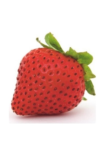 Ucuzluk Diyarı 90 Adet Reçelik Kokulu Çilek Fidanı Açık Kök Frigo