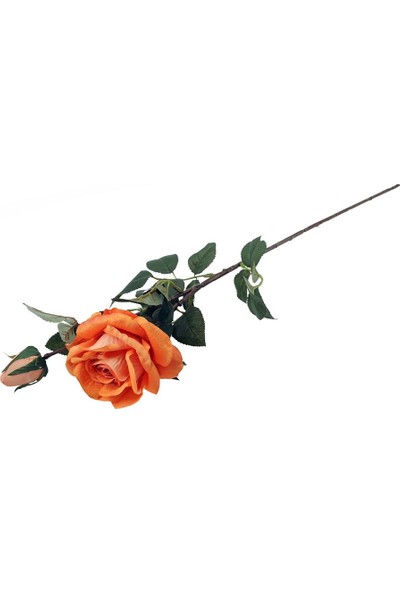 Wanelli WN1046 Turuncu Gül 64 cm Wanelli WN1046 Turuncu Gül 64 cm
