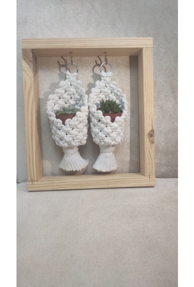 Zaycar Home Mini Makrome Saksılık/kaktüslük