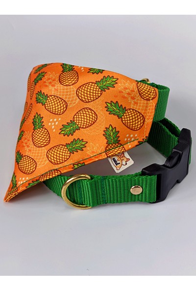 Utd Pet Pine Fularlı Köpek Boyun Tasması Utd Pet Pine Fularlı Köpek Boyun Tasması