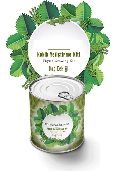 Easy Toptan Konserve Bahçem Kekik Yetiştirme Kiti