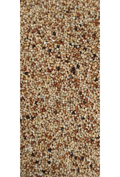 Malatya Yem Karışık Muhabbetkuşu Yemi 10 kg