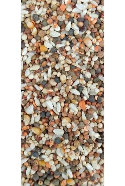 Malatya Yem Özel Buğdaysız Karışık Güvercin Yemi 25 kg Malatya Yem Özel Buğdaysız Karışık Güvercin Yemi 25 kg