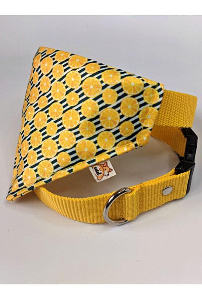 Utd Pet Lemona Fularlı Köpek Boyun Tasması