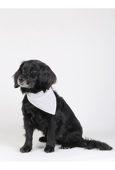 Peti Tailor Gri Puantiyeli Köpek Fuları Peti Tailor Gri Puantiyeli Köpek Fuları