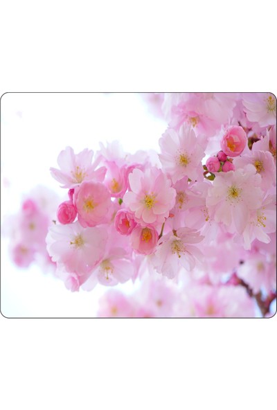 Trend Magnet Mousepad